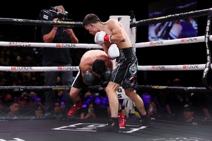 BoxingScene.com