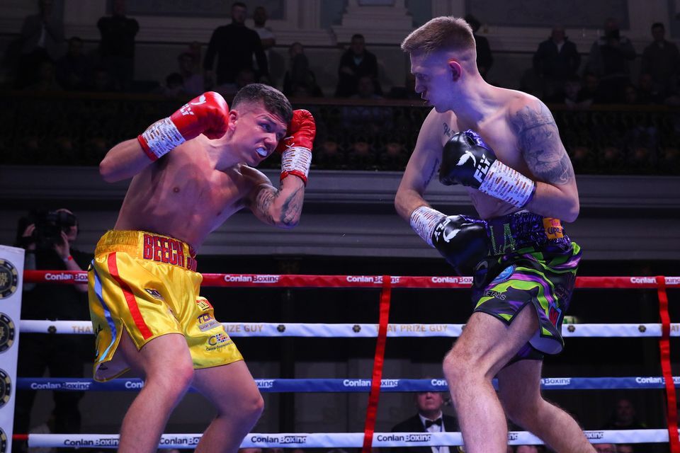 Kurt Walker In Good Company After Stopping Brave Beech - Boxing News